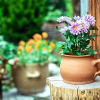 Quality Senior Living & Care at Simpson Meadows