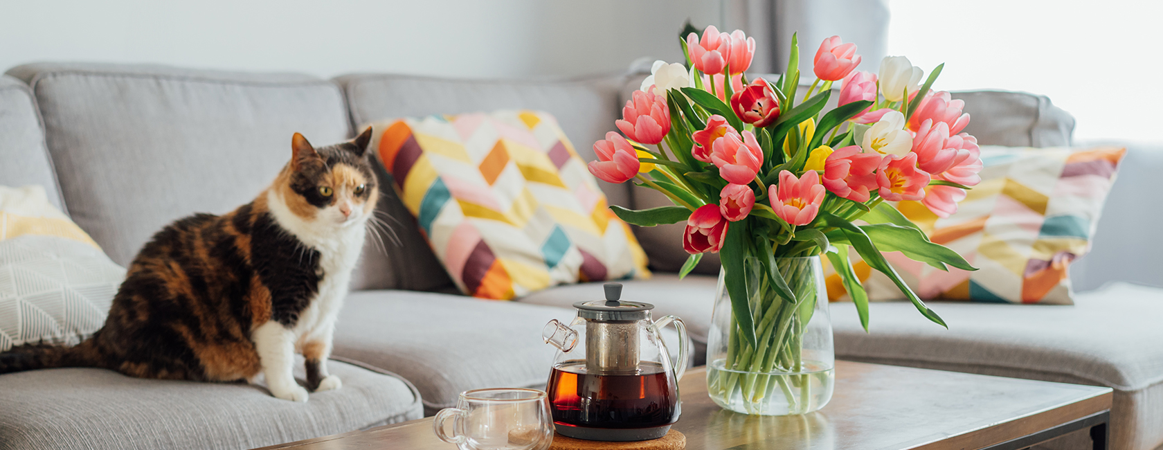 Contact - Simpson Senior Living